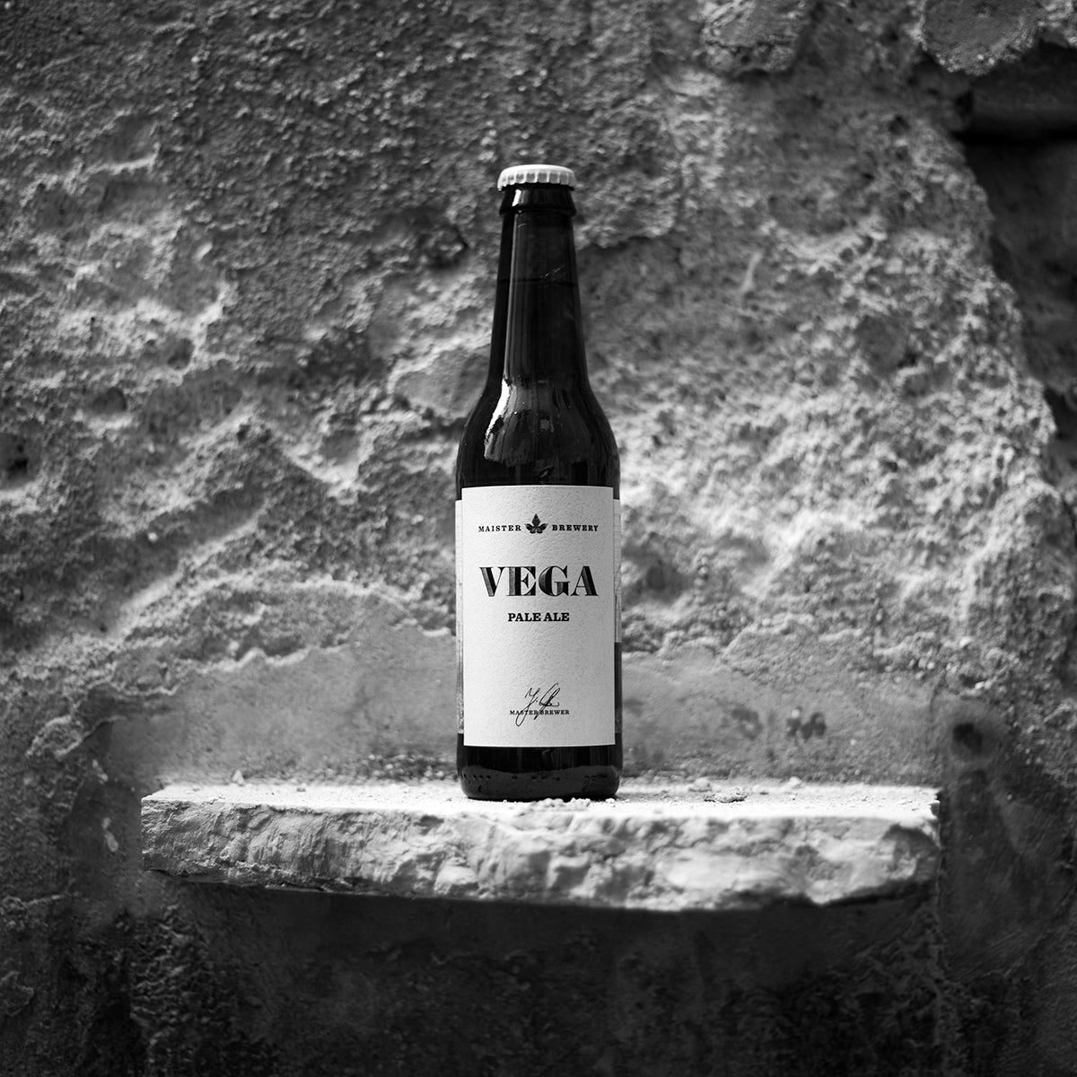Pivo Vega Maister Brewery Maisterbrewery pivo-vega-maister-brewery-maisterbrewery
